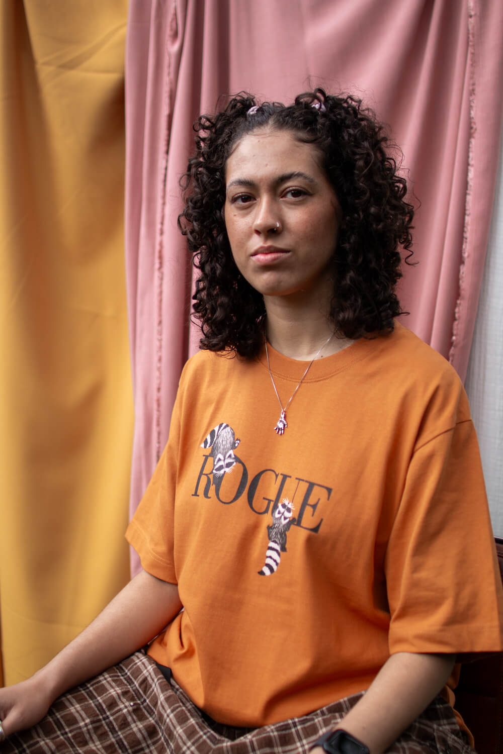Rogue raccoon T-shirt, trash panda appreciation – We Are Hairy People