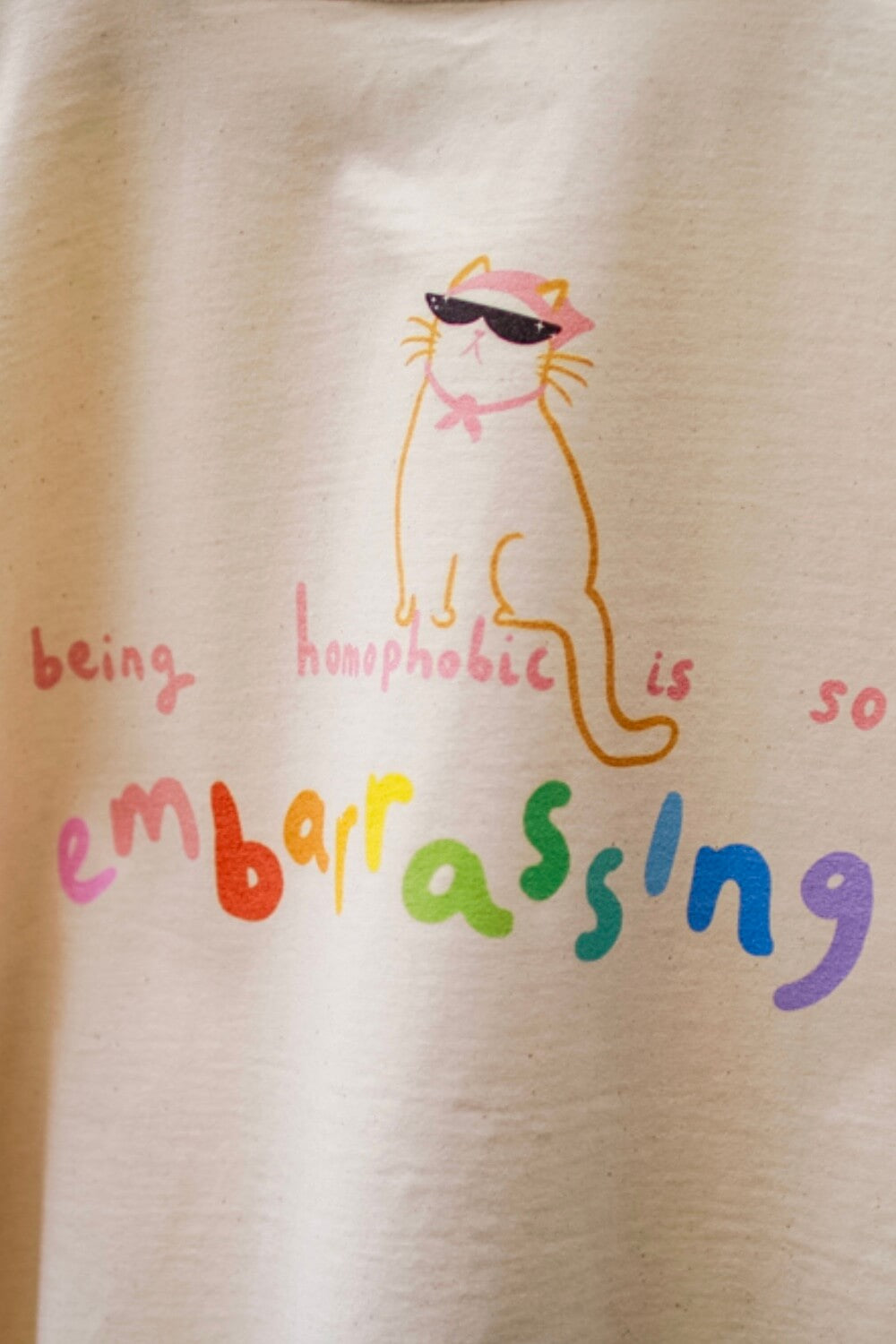 Pride cat oversized charity tshirt, in collaboration with Katie Budenb ...